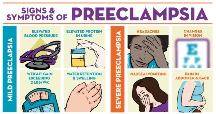 Pregnancy Nutrition Preventing Eclampsia With High Protein Diet 