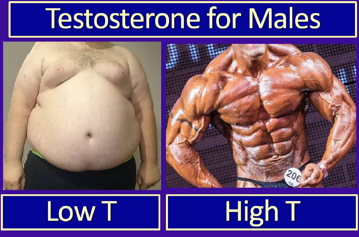 Testosterone Reduces Mortality in Diabetic Males - Jeffrey Dach MD
